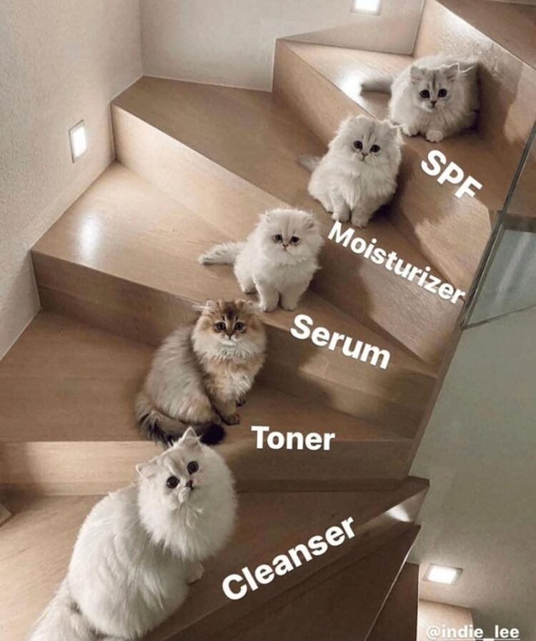 20+ Funny Skincare Memes To Work Into A Lather And Rub All Over Your Body