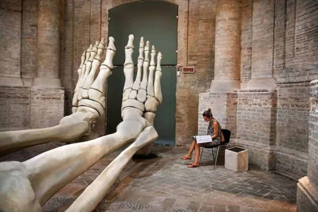 31 Everyday Objects That Got Super-Sized For No Reason