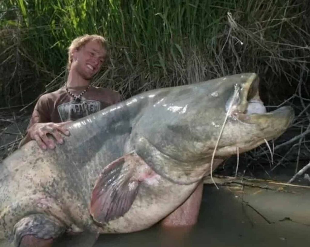 31 Everyday Objects That Got Super-Sized For No Reason