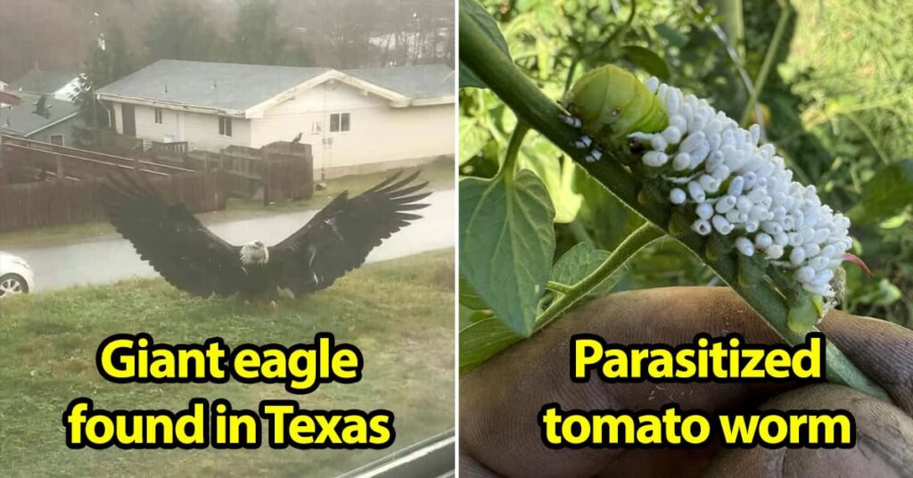 20 Oddly Terrifying Images That Will Definitely Haunt Your Dreams Tonight