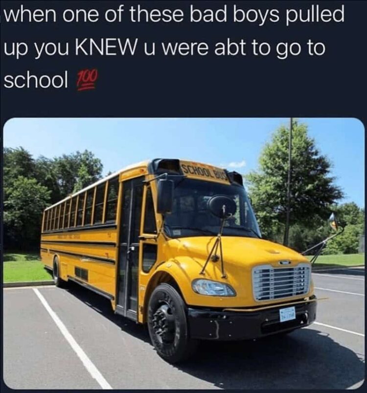 20 Funny School Bus Memes That Make Every Bumpy Ride Worth The Laughter