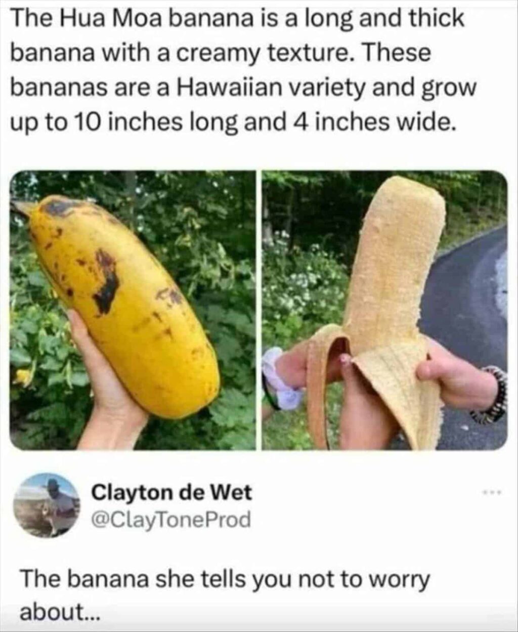 35 Funny Random Memes To Help Push You Through To The Holiday Weekend