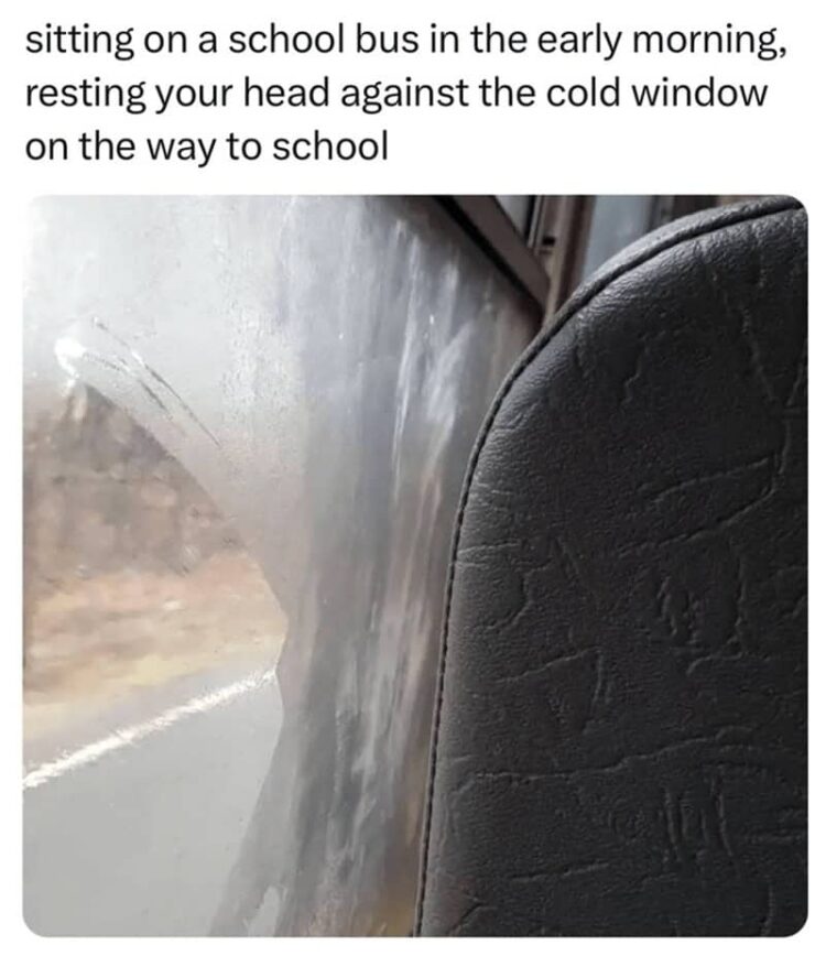20 Funny School Bus Memes That Make Every Bumpy Ride Worth The Laughter