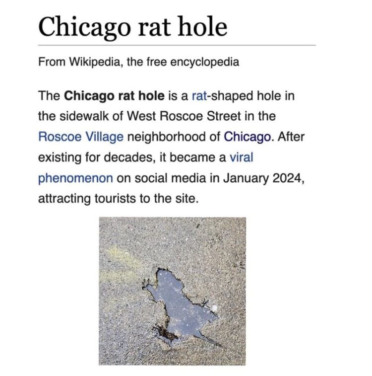 27 Bizarre Wikipedia Articles You Didn't Know You Needed To Read