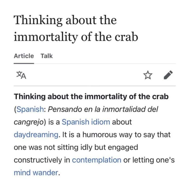 27 Bizarre Wikipedia Articles You Didn't Know You Needed To Read