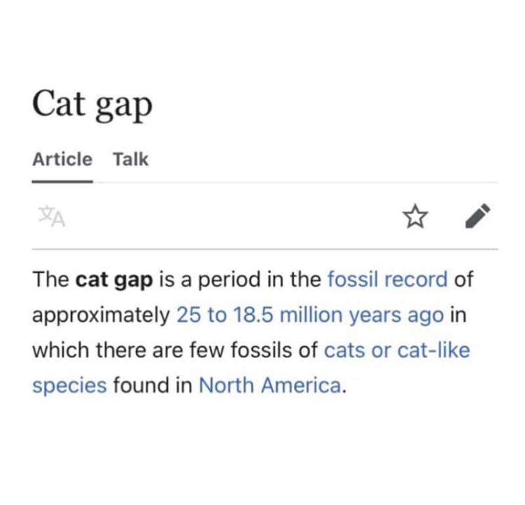 27 Bizarre Wikipedia Articles You Didn't Know You Needed To Read