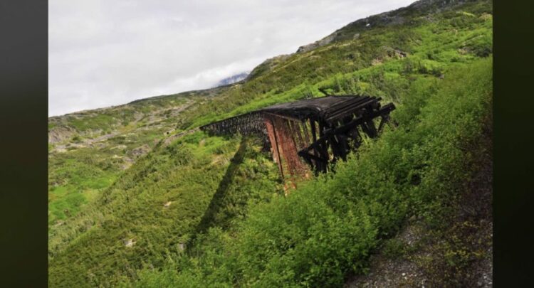 26 Cool Abandoned Railways That Nature Turned Into Its Canvas