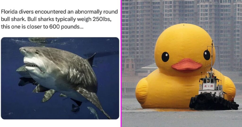 20 Massive Things That Are Simply Larger Than They Should Be
